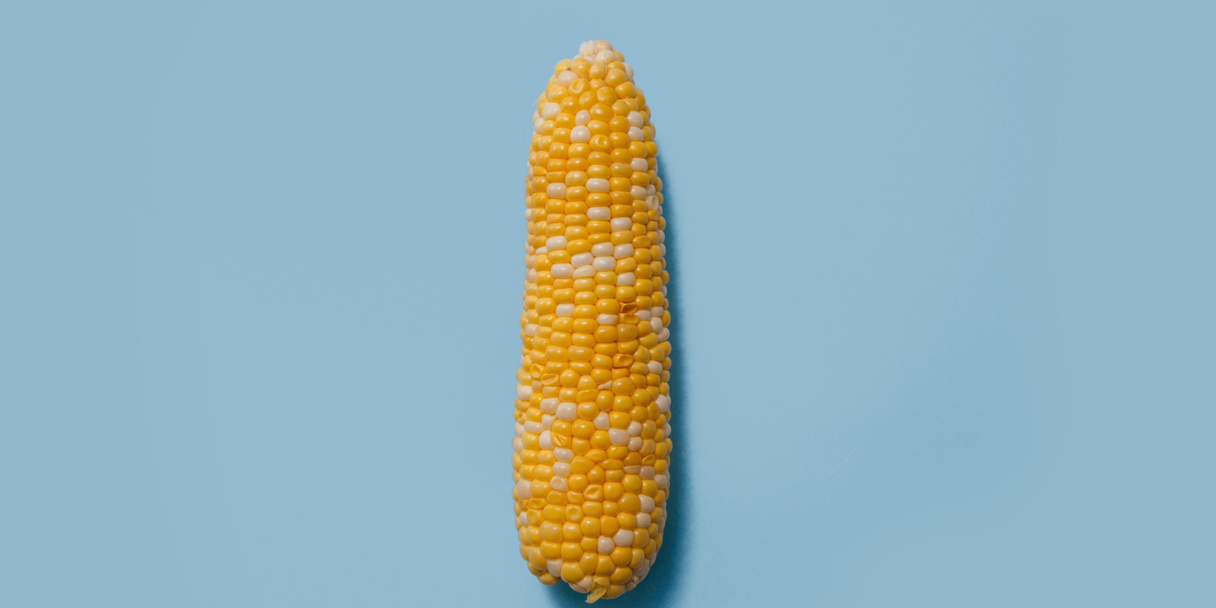 9 Types of Biodegradable Packaging to Better Your Brand Footprint